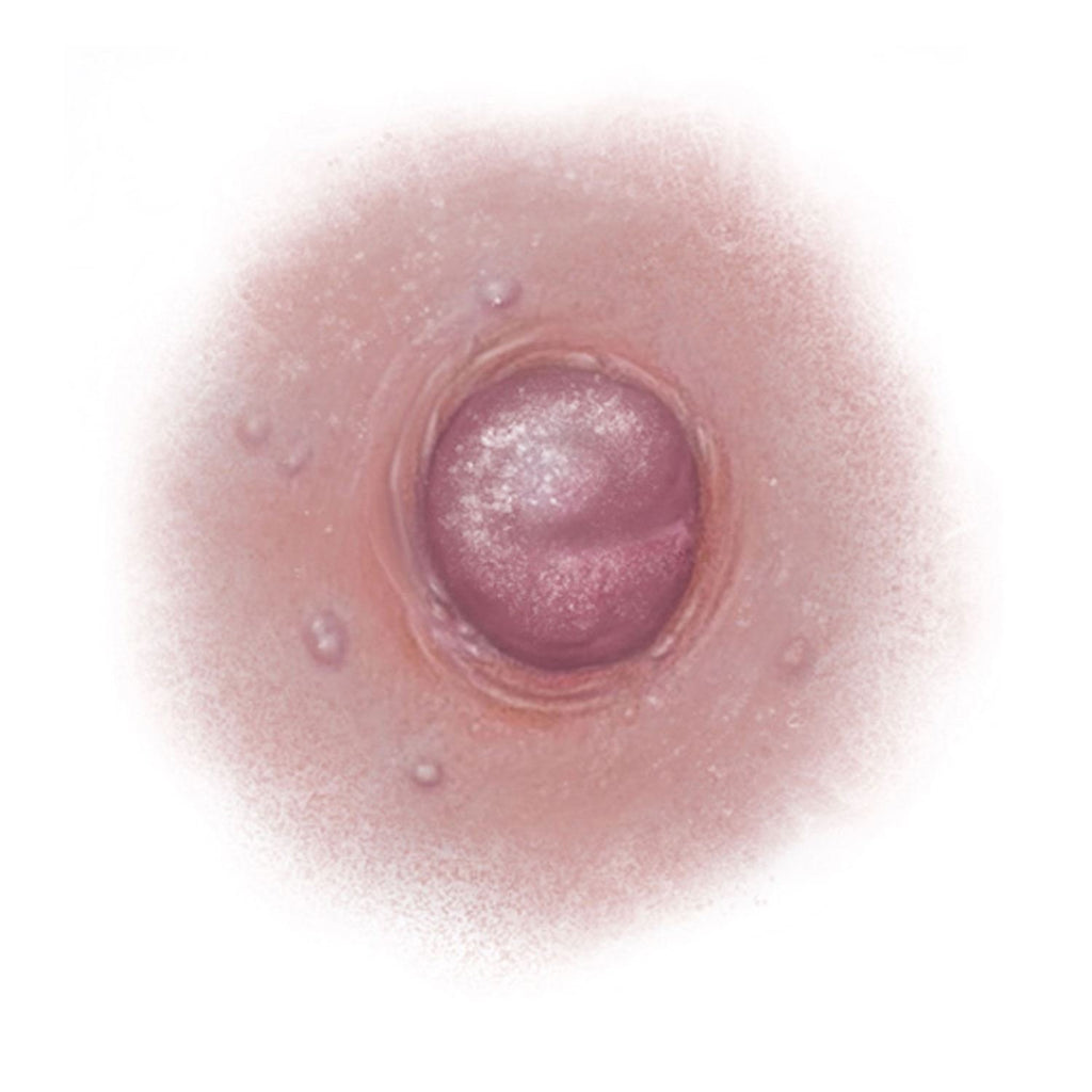 Stacie-Rae A.R.T. NippleBack Temp Tattoos – Kingpin Tattoo Supply