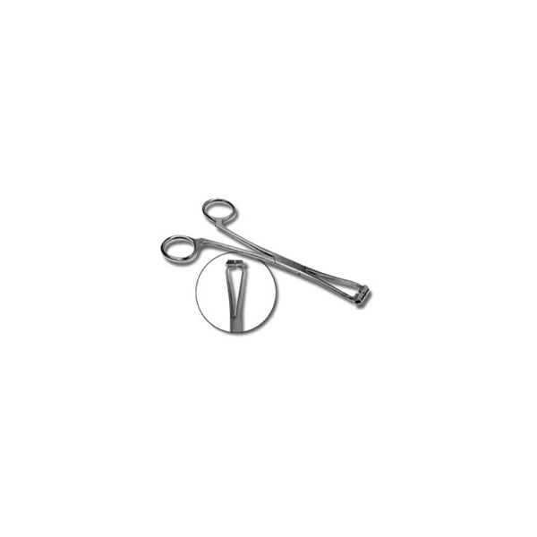 Stainless-Steel-Septum-Clamp-6" – Kingpin Tattoo Supply